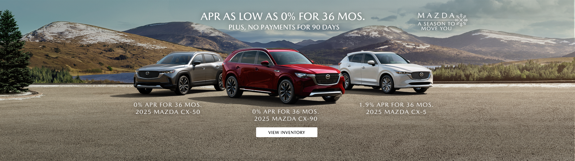 Used Car Dealerships Orange Park Fl